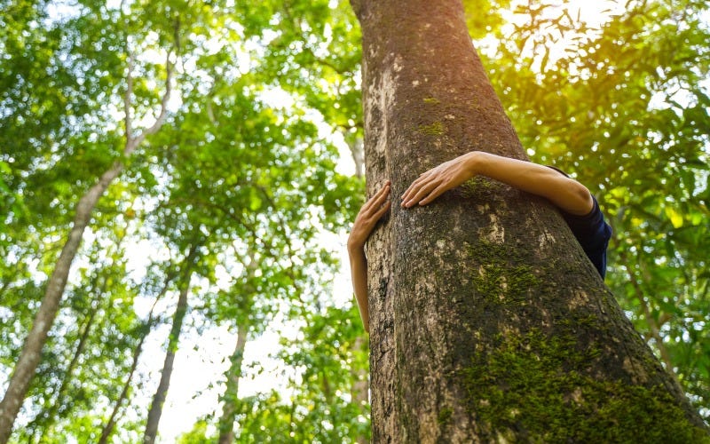 Por qué estudiar Turismo Alternativo y Desarrollo Sustentable | UMAD - Blog